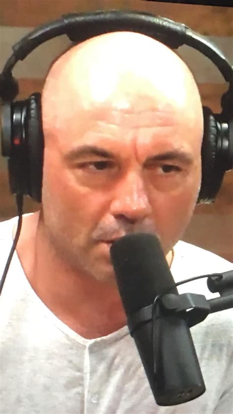 Joe Ten Minutes Into Tom Delonge Rjoerogan