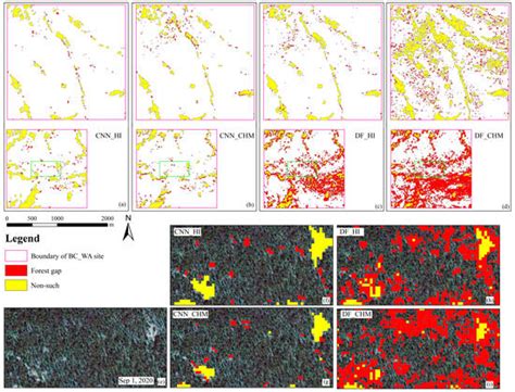 forest gap extraction based on convolutional neural networks and