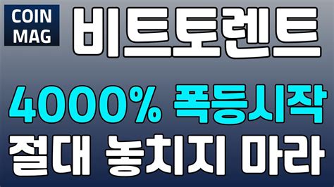 비트토렌트 4000 폭등 시작 절대 놓치치마라 YouTube