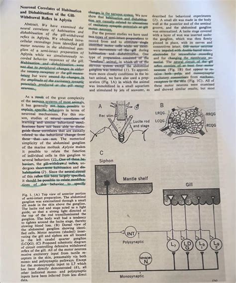 Solved What Is Figure 1c Showing Neuronal Correlates Of