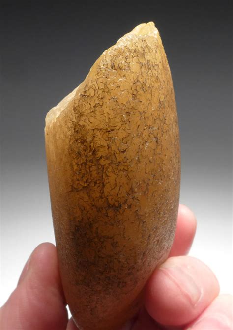 Extremely Rare Quartz Oldowan Pebble Chopper Axe From Mauritania Pb177