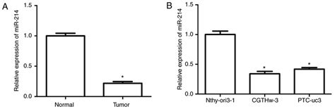 Mir 214 Is Significantly Downregulated In Ptc Tissues And Cell Lines