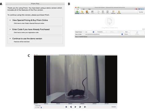 The Tibial Fracture Pin Model A Clinically Relevant Mouse Model Of Orthopedic Injury Protocol