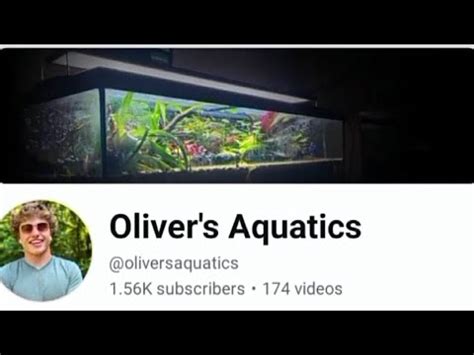 Amazing Youtube Aquarium Channels To Visit Part Youtube