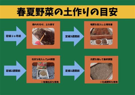 春夏野菜の土作り手順と時期！1ヶ月前からはじめる家庭菜園の準備 しま農研