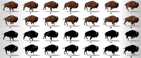 premium vector bison run cycle animation sequence vector