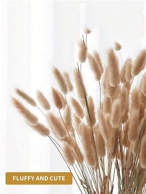 60pcs Dried Rabbit Tail Grass Pampas Grass Dried Flowers And Plants Artificial Plants For Home