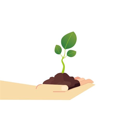 Premium Vector Hand Holding Plant Illustration Vector
