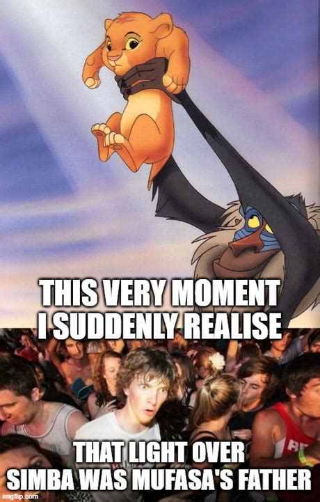 Funny Lion King Memes