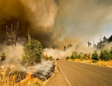 El Cambio Climático Aumenta El Riesgo De Incendios Forestales