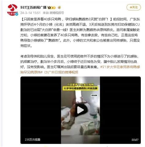 会人传人吗有一种热叫鹦鹉热需要你了解 鸟类 症状 疾病