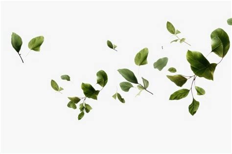 Premium Ai Image Isolate Leaves Movement Falling Slow