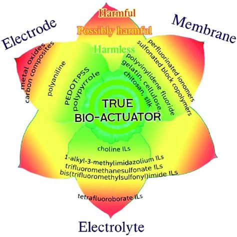 Components Of A Harmless Eap Actuator Download Scientific Diagram