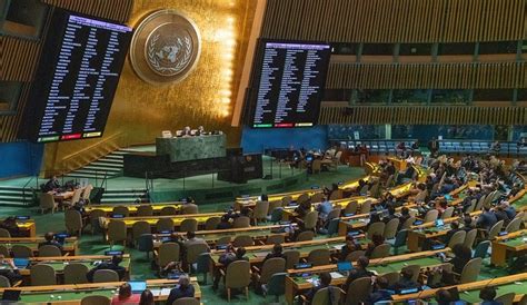 حرق القرآن عداوة معلنة تحت لواء حرية التعبير