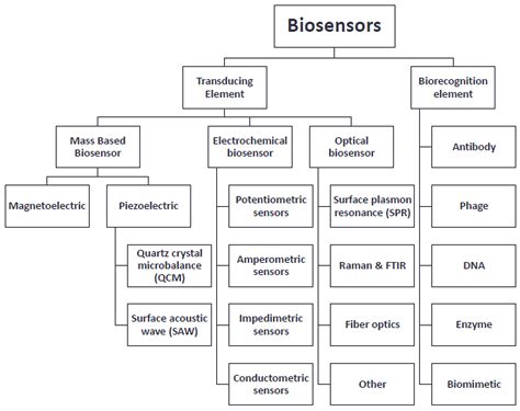 Biosensors Free Full Text Biosensors For The Detection Of