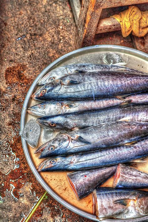 물고기 음식 식품 Pixabay의 무료 사진 Pixabay