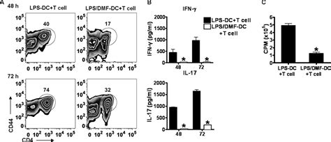 Dimethyl Fumarate Inhibits Dendritic Cell Maturation Via Nuclear Factor