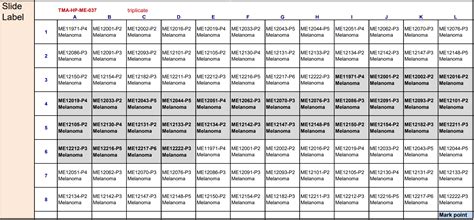 Tma037 Melanoma Pdx Tumor Microarray Slides Crown Bioscience