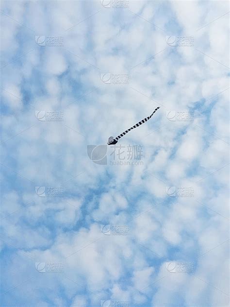 在天空中放风筝