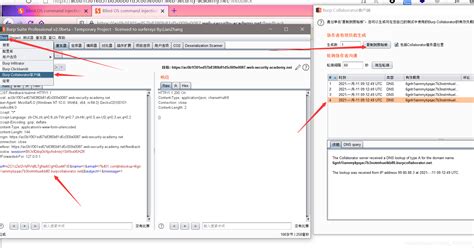 Portswigger Academy Os Command Injection 操作系统命令注入java Os Command