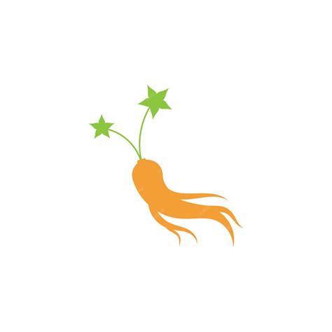 인삼 벡터 일러스트 레이 션 인삼 뿌리 로고 심볼 프리미엄 벡터