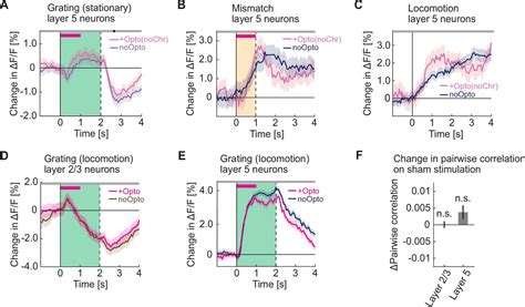 Figures And Data In Cholinergic Input To Mouse Visual Cortex Signals A