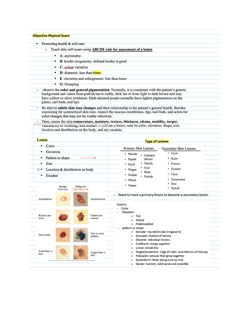 Untitled Document Notes Studocu