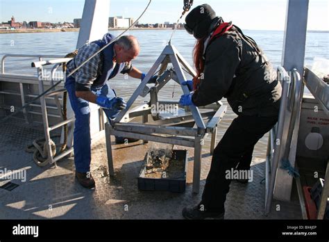 Marine Scientists Collecting Sediment Grab Samples From The River
