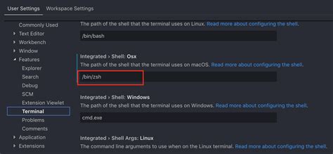 美化mac Os下的visual Studio Code内置终端 Iloop 博客园