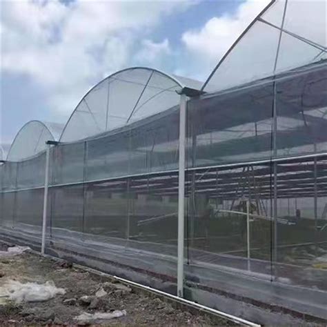 新疆哈密温室连体大棚抗风抗雪橙子大棚管连栋大棚结构图示意图