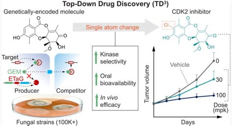 Alireza Mousavi On Linkedin If We Simplify Target Based Drug Discovery