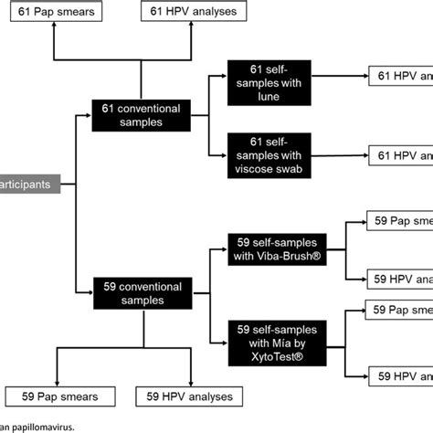 Number Of Samples And Tests Distributed Among Patients Download Scientific Diagram