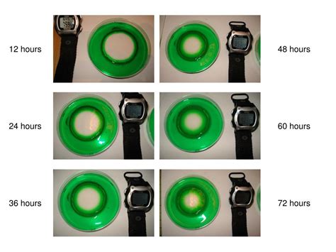 PPT Gelatin Diffusion Experiment PowerPoint Presentation Free Download ID