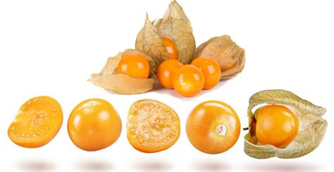 Uchuva Nutrition Facts Health Benefits Side Effects