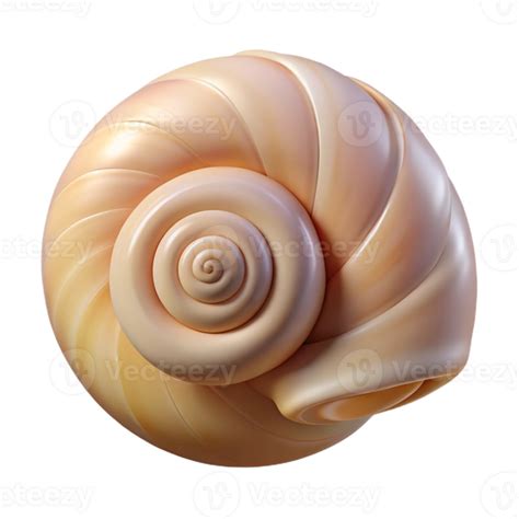 Mysterious Magnificent Photorealistic Ultra Detailed Render Of A Single Seashell Spiral Shape