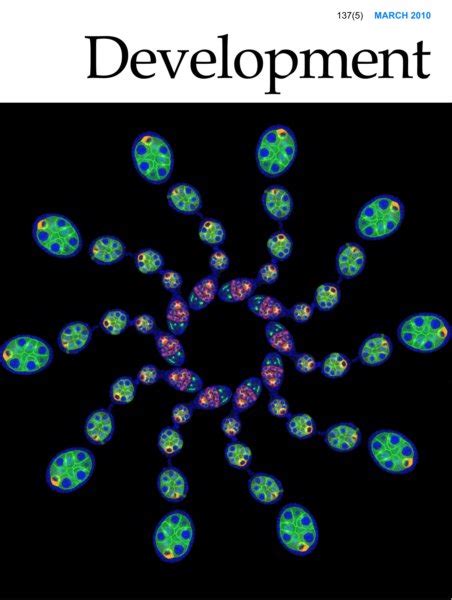 Publications Evolution And Development Of Germ Cells