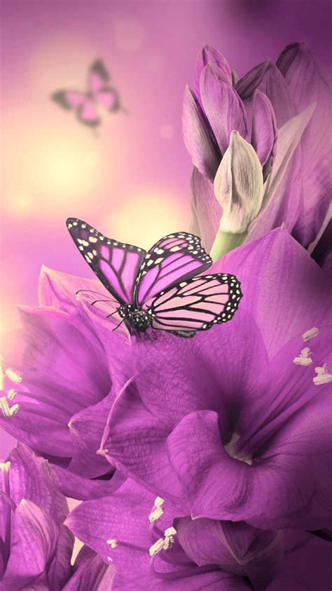 Download Flowers With Purple Butterfly Phone Background Wallpaper