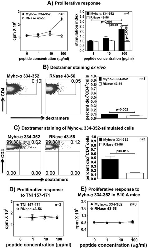 Aj Mice Infected With Cvb3 Show The Generation Of Myhc α 334352