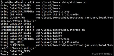 Web服务器群集：nginxtomcat实现负载均衡与动静分离集群 Csdn博客