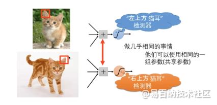 卷积神经网络 猫狗识别附源码 专栏 易百纳技术社区