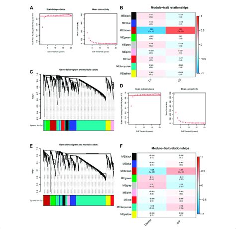Gene Module Selection Using Wgcna A Selection Of The Soft Threshold