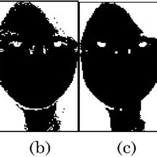 PDF Face Detection Using SVM Based Classification