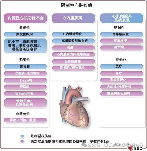 2023年esc心肌病管理指南（译稿）13——限制型心肌病 知乎