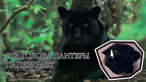 Diy Голова пантеры Паперкрафт БЕСПЛАТНАЯ ССЫЛКА НА СХЕМУ РАЗВЕРТКУ В