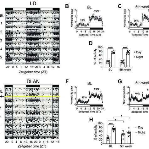Exposure To Dim Light At Night Dlan Disrupts Circadian Rhythms In Download Scientific Diagram