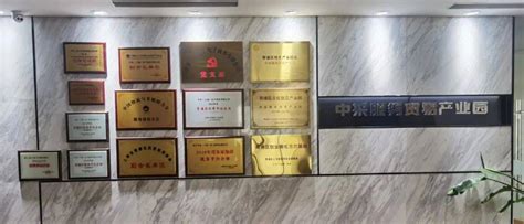 线上平台线下园区总部基地，中采服务贸易产业园打造长三角示范区（上海）供应链总部基地企业青浦服务
