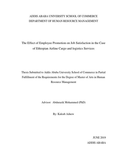 Kaleab Adnew Pdf Pdf Job Satisfaction Motivation