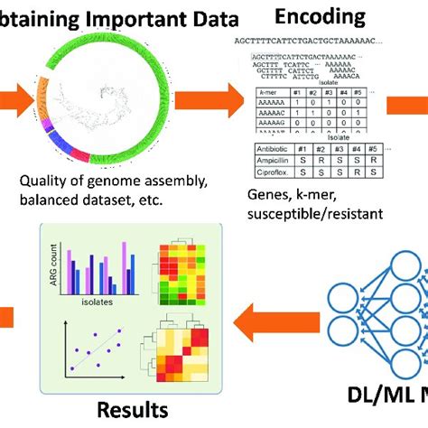 overall process of applying machine learning deep learning models in download scientific