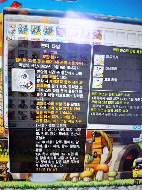 더쿠 1년 고민한 자석펫 방금 샀다 잘한거라고 해줘ㅜㅜㅜㅜ