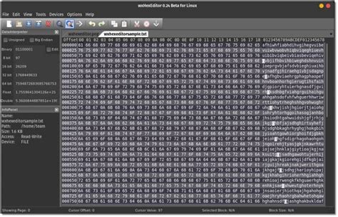 Top Hex Editors For Linux Systems